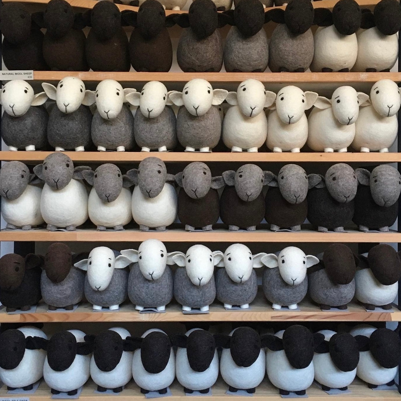 Felt Animals Collection – Flock